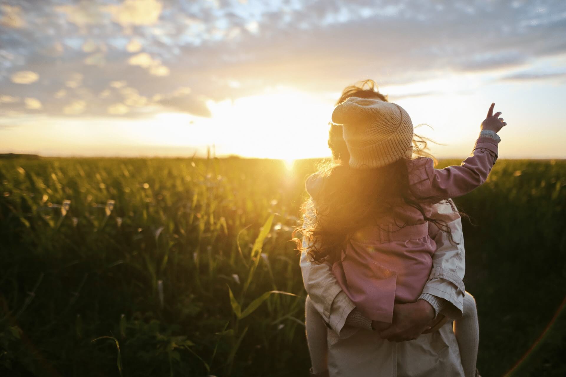 Minoryx official website