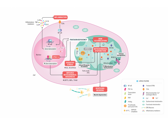 Contact Headquarters https://www.minoryx.com/content/imgs/mail/logo.png